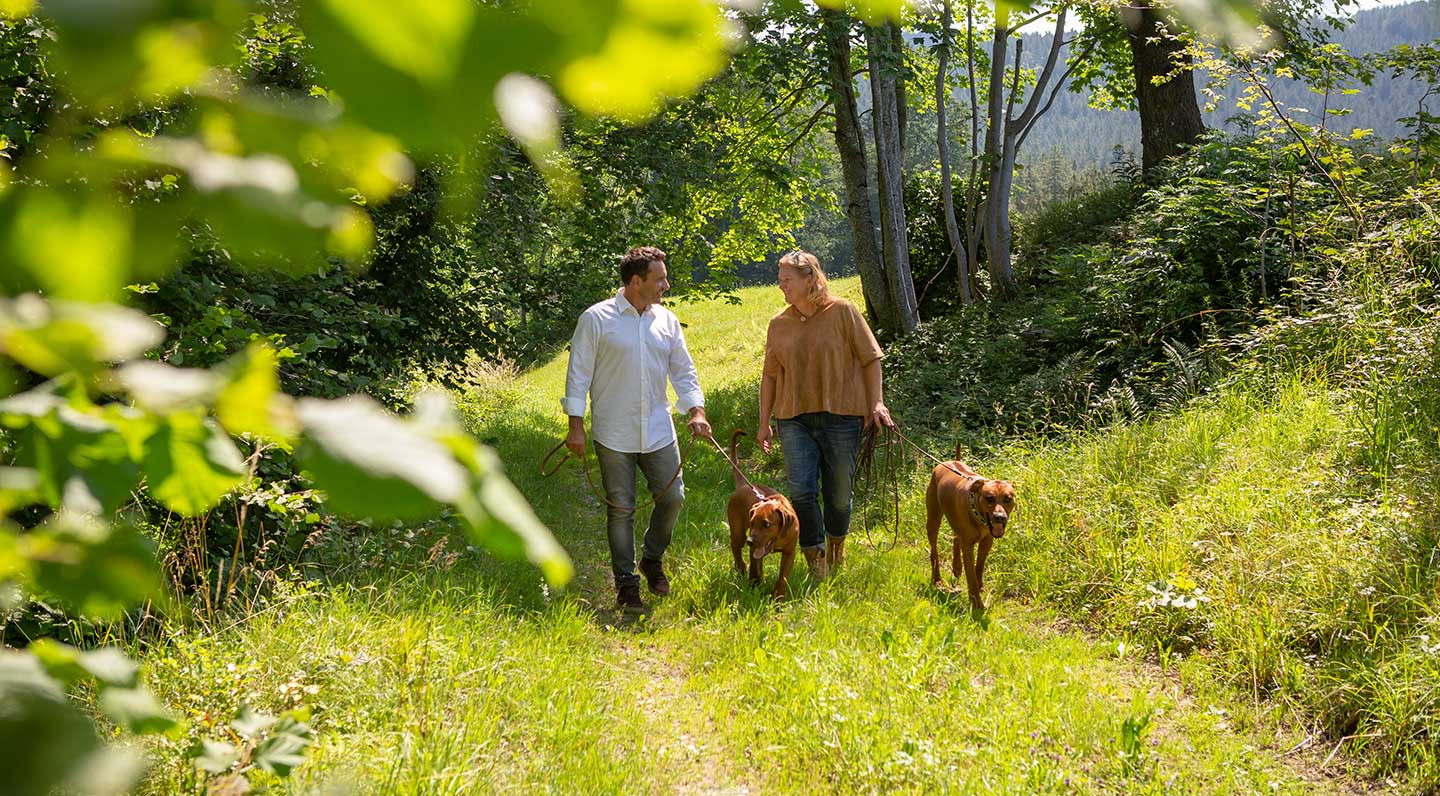 Über mich - Claudia Egger - Psychotherapie & Coaching